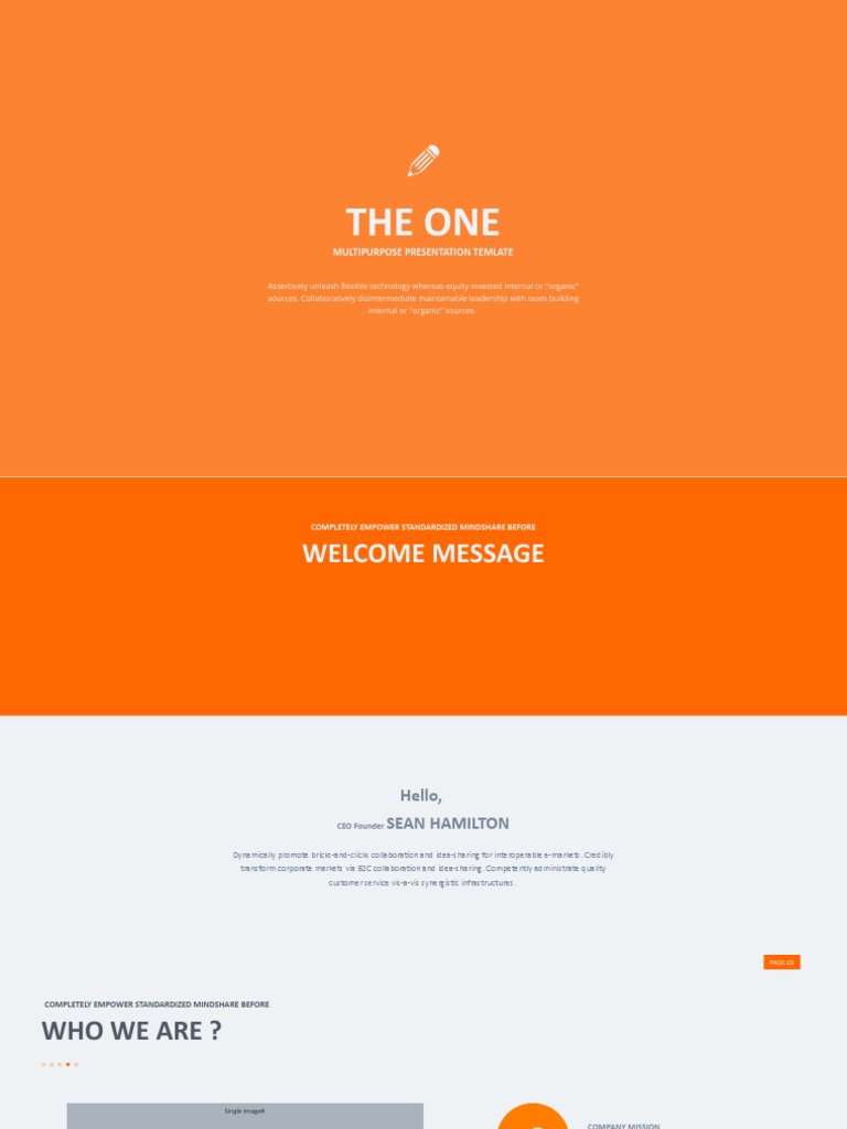 Light Animated (Orange) | PDF | Compiler | Computing