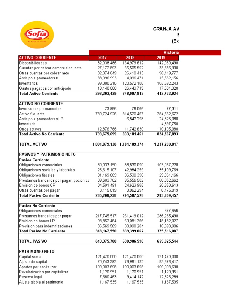 Granja avícola integral Sofía balance general histórico y proyección ...