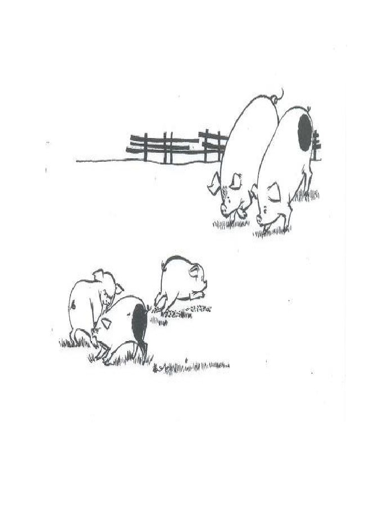 Laminas Del Test Pata Negra | PDF