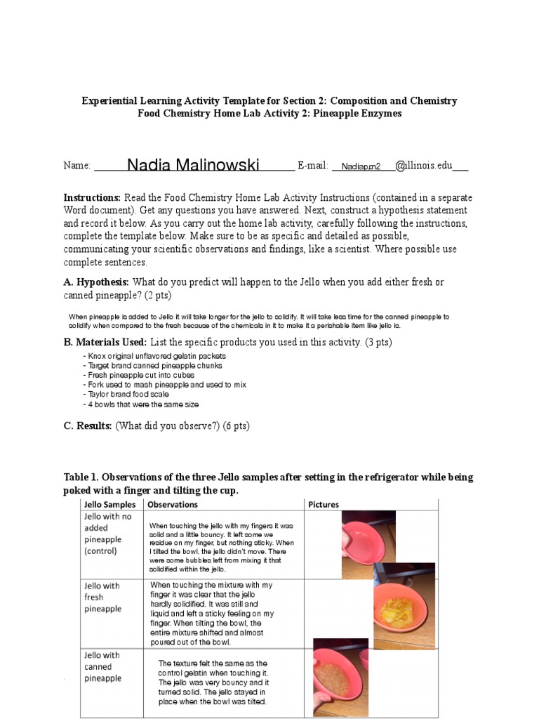 Food Chemistry Lab Activity 2 | PDF | Gelatin | Chemistry