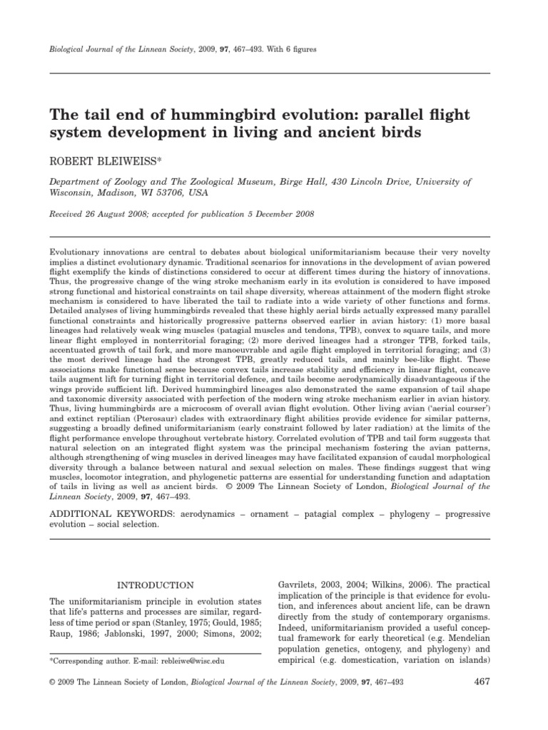 The Tail End of Hummingbird Evolution | PDF | Phylogenetic Tree ...