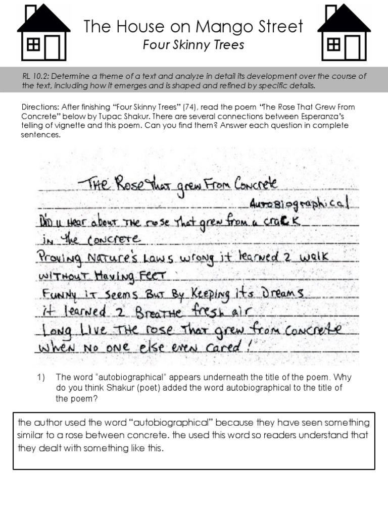 THOMS Four Skinny Trees | PDF