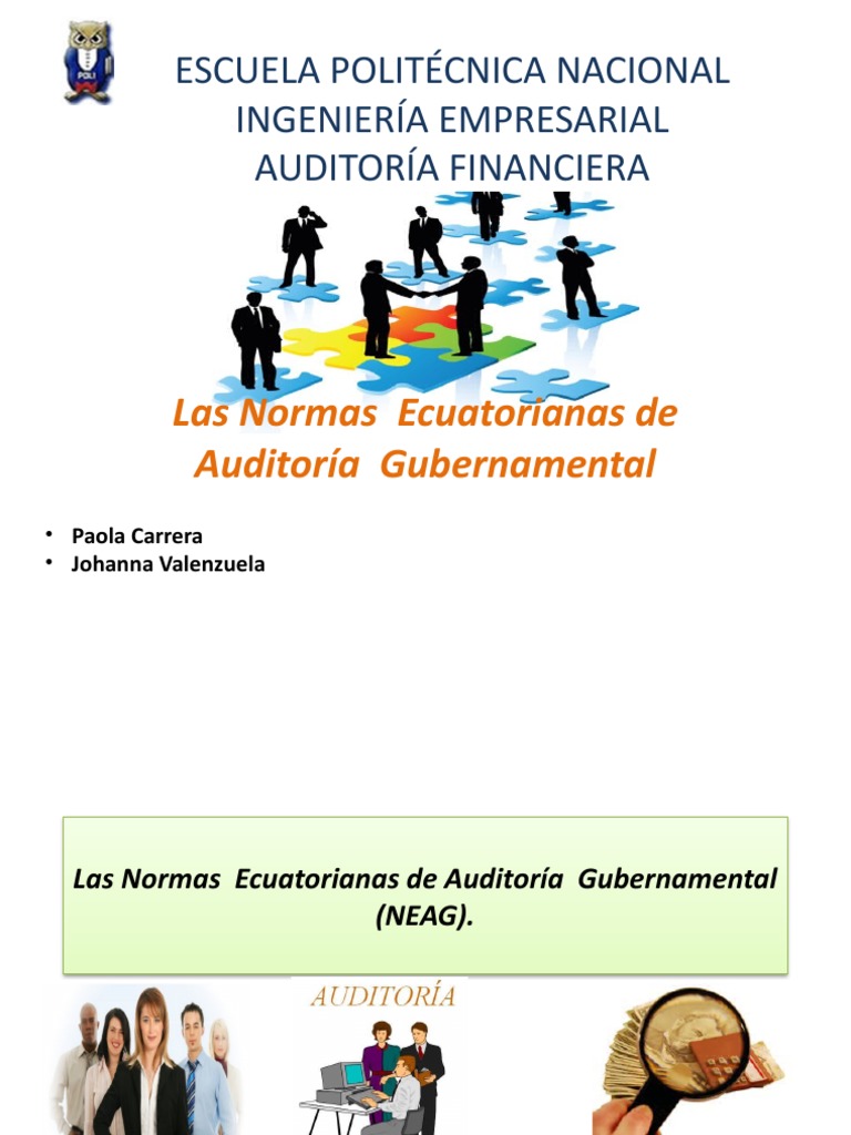 Las Normas Ecuatorianas de Auditoría Gubernamental (NEAG) . | PDF ...