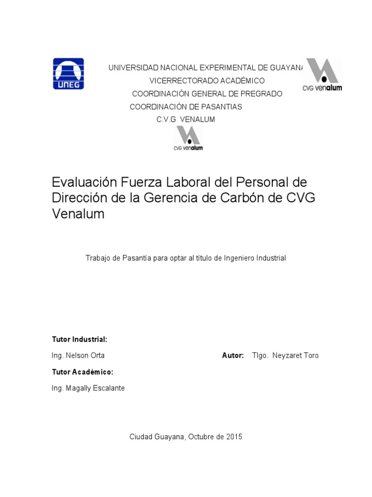 Trabajo de Pasantia Profesional Neyza | PDF | Aluminio | Análisis FODA