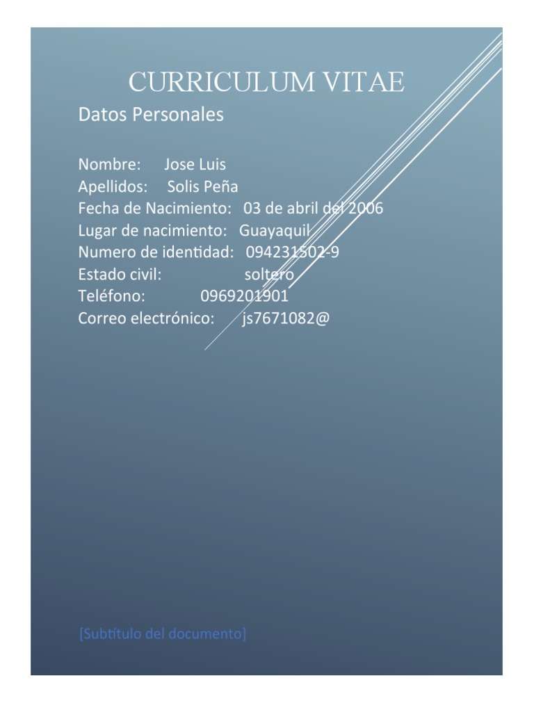 Curriculum Vitae Jose Luis | PDF