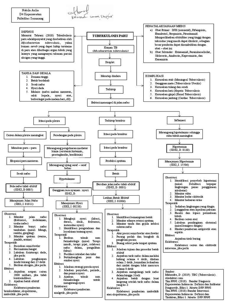 MENGURAI PENYAKIT TUBERKULOSIS PARU | PDF