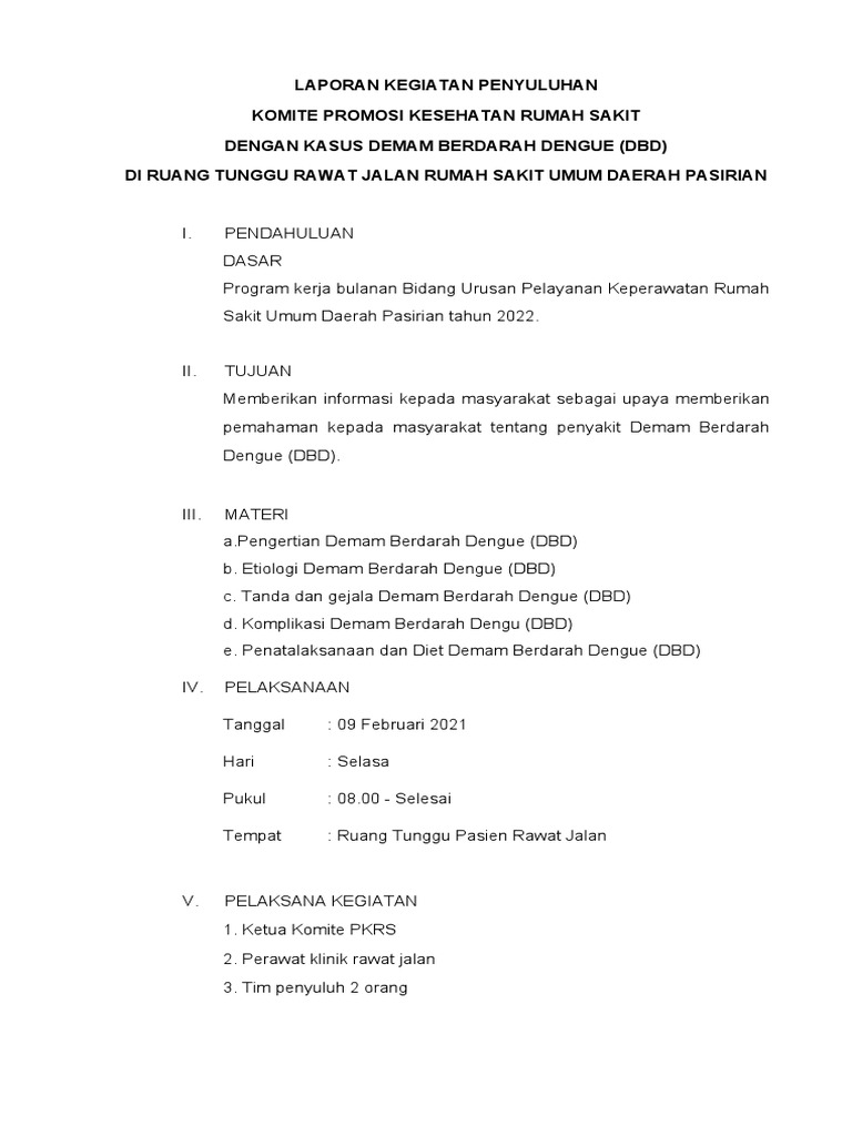 Laporan Kegiatan DBD | PDF