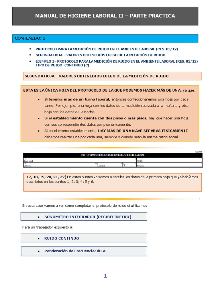 Manual de Ruido-Parte Practica | PDF | Decibel | Sonido