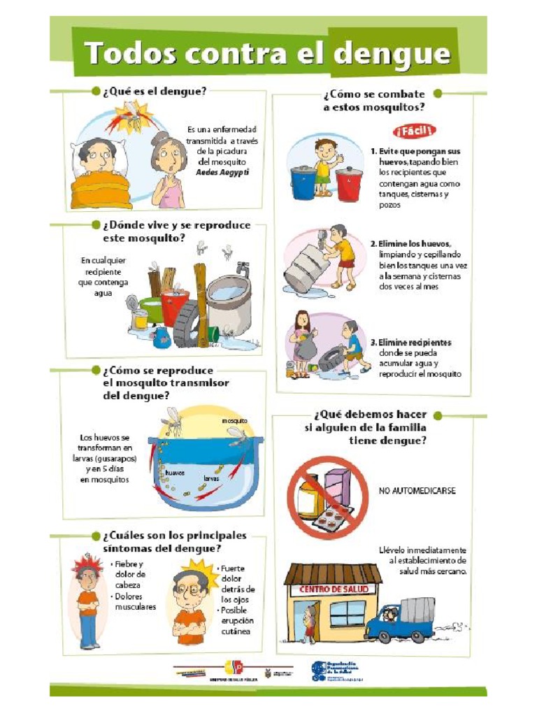 Dengue Cartel | PDF