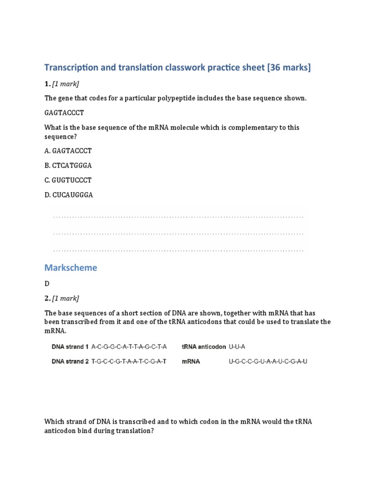 MS Transcription and Translation Classwork Practice Sheet | PDF | Translation (Biology ...