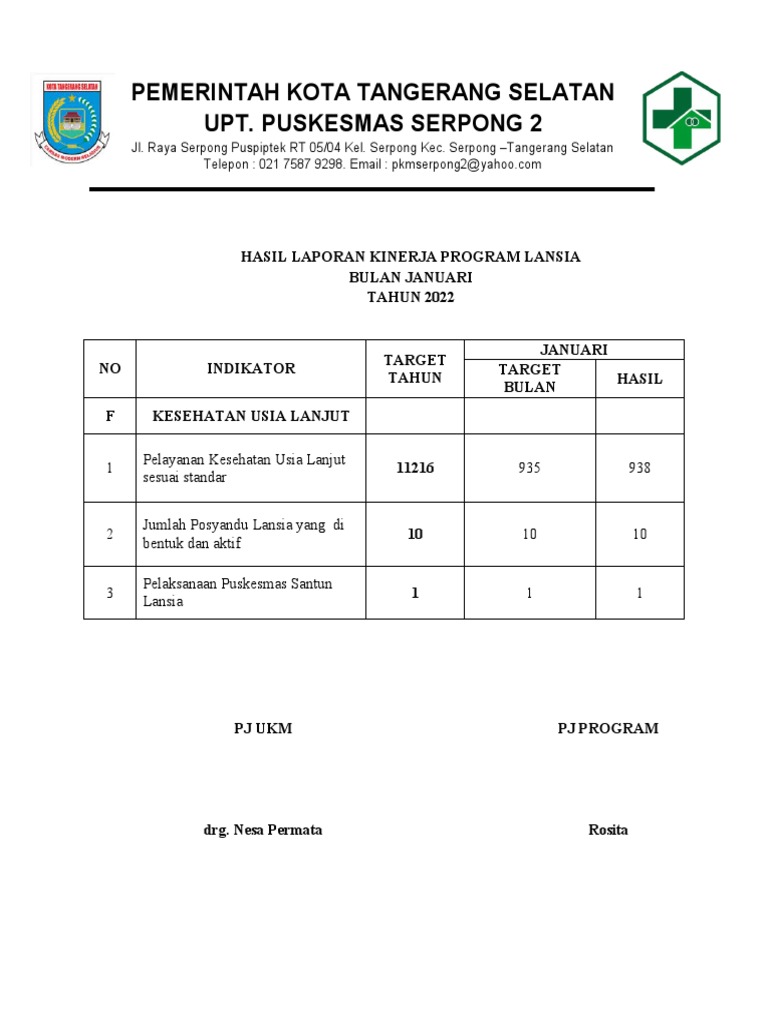 Hasil Laporan Kinerja Program Lansia | PDF