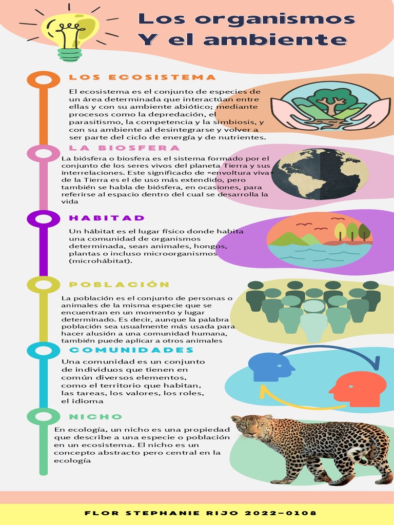 Infografía Organismo y Ambiente | PDF