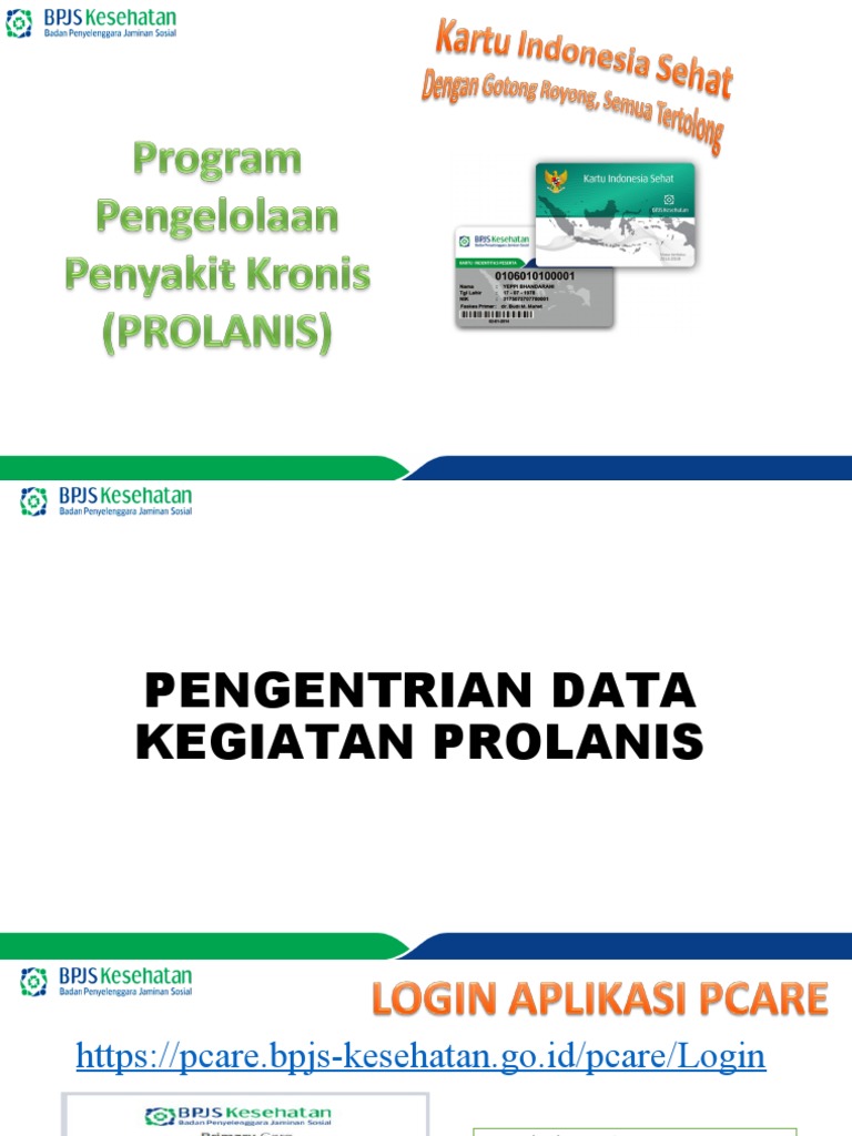 Panduan Entri Data Prolanis BPJS | PDF