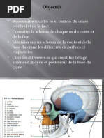 Anatomie des Os du Visage Humain | PDF | Anatomie humaine | Appareil ...