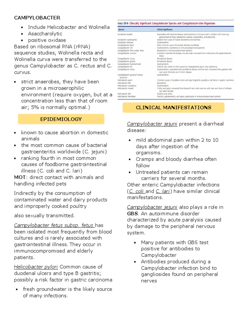 Laboratory Diagnosis and Identification of Campylobacter Species | PDF ...