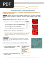 Video Recap of Osmosis by Amoeba Sisters Answer Set | PDF | Osmosis ...