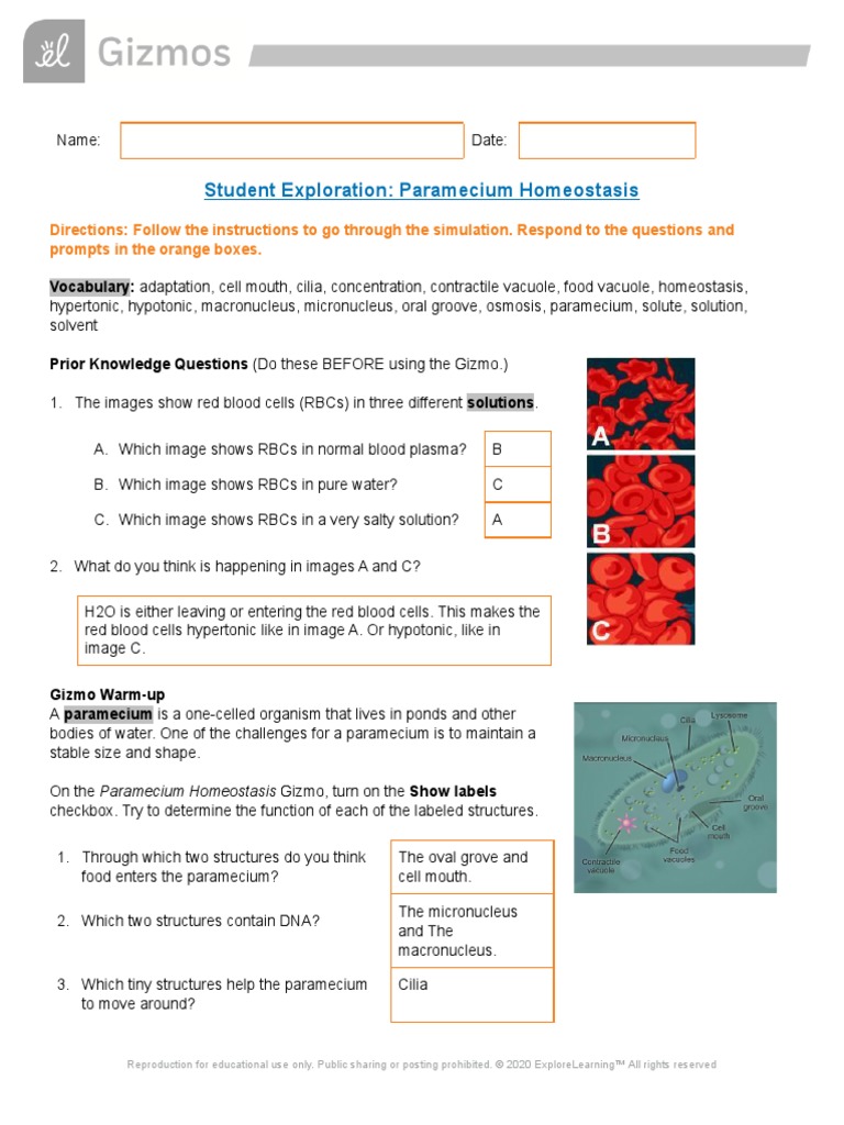 Elijah Castro - Gizmo Paramecium Homeostasis | PDF | Osmosis