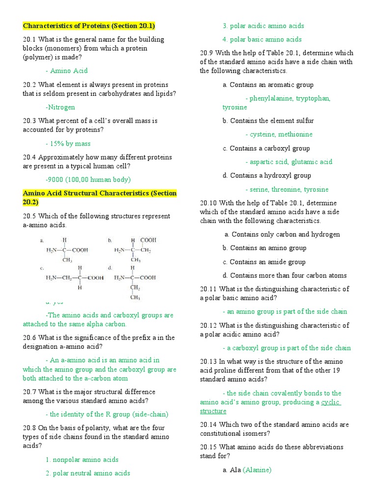 Proteins Answer Key | PDF