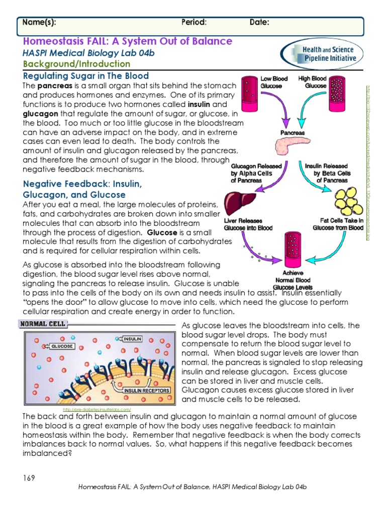 Elijah Castro - Reading and Questions-Diabetes | PDF | Glucose | Insulin