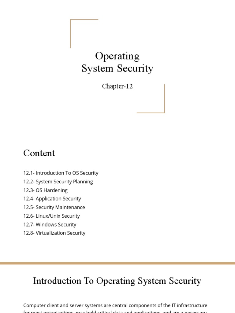 Operating System Security | PDF