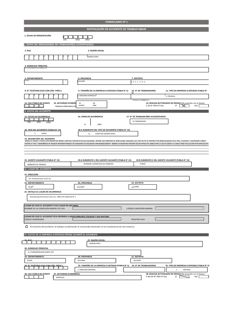 Formulario 1, Notificación de Accidente de Trabajo Grave | PDF