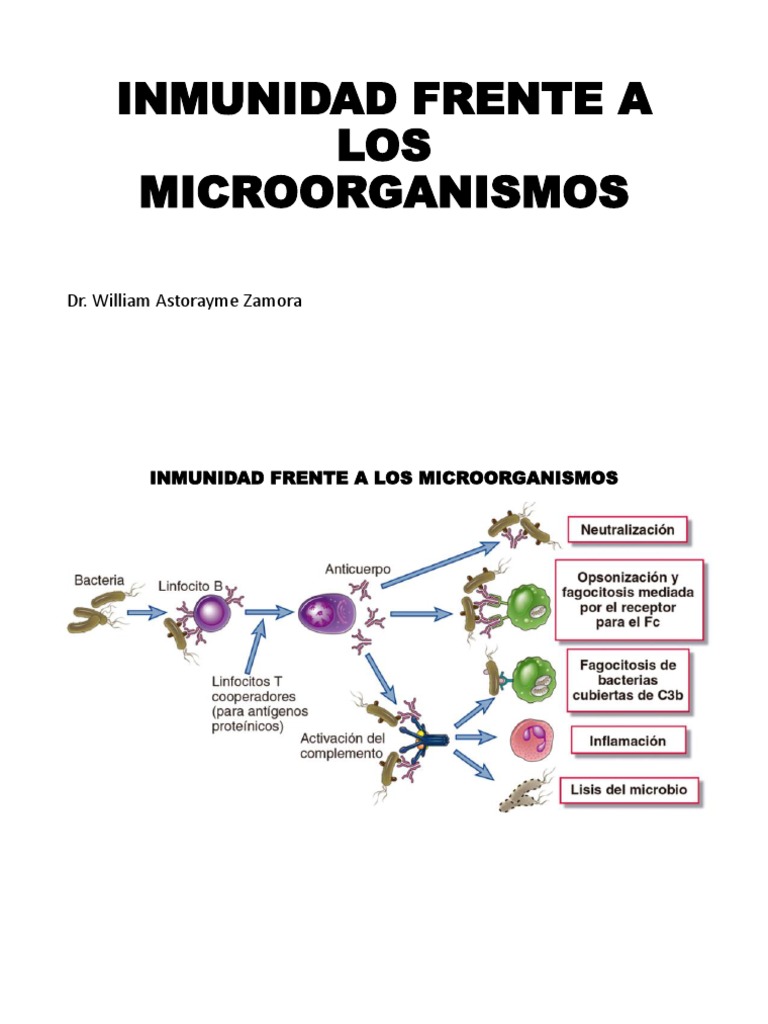 Inmunidad Viral y Bacteriana | PDF | Sistema inmune | Infección
