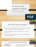 Poultry Terminologies and Definition | PDF | Chicken | Poultry