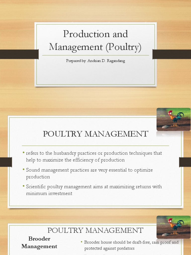 Management Practices On Poultry | PDF | Poultry Farming