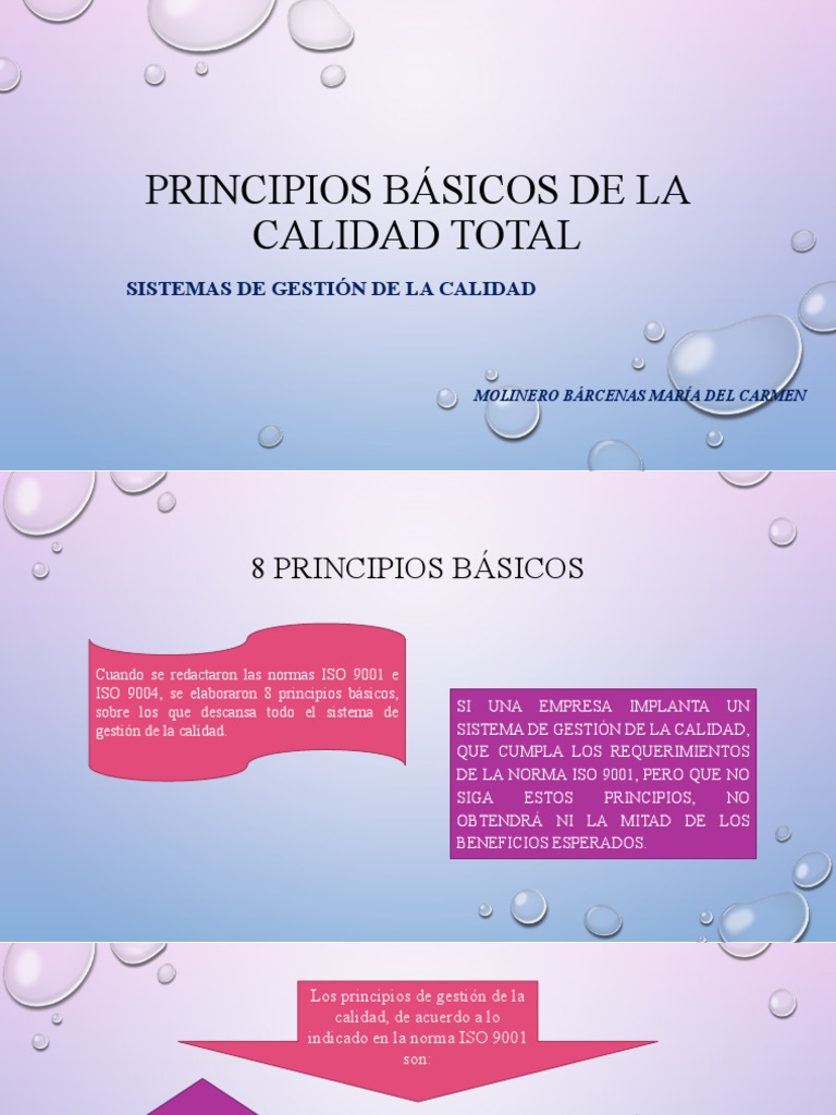 Principios Básicos de La Calidad Total1 | PDF | Calidad (comercial ...