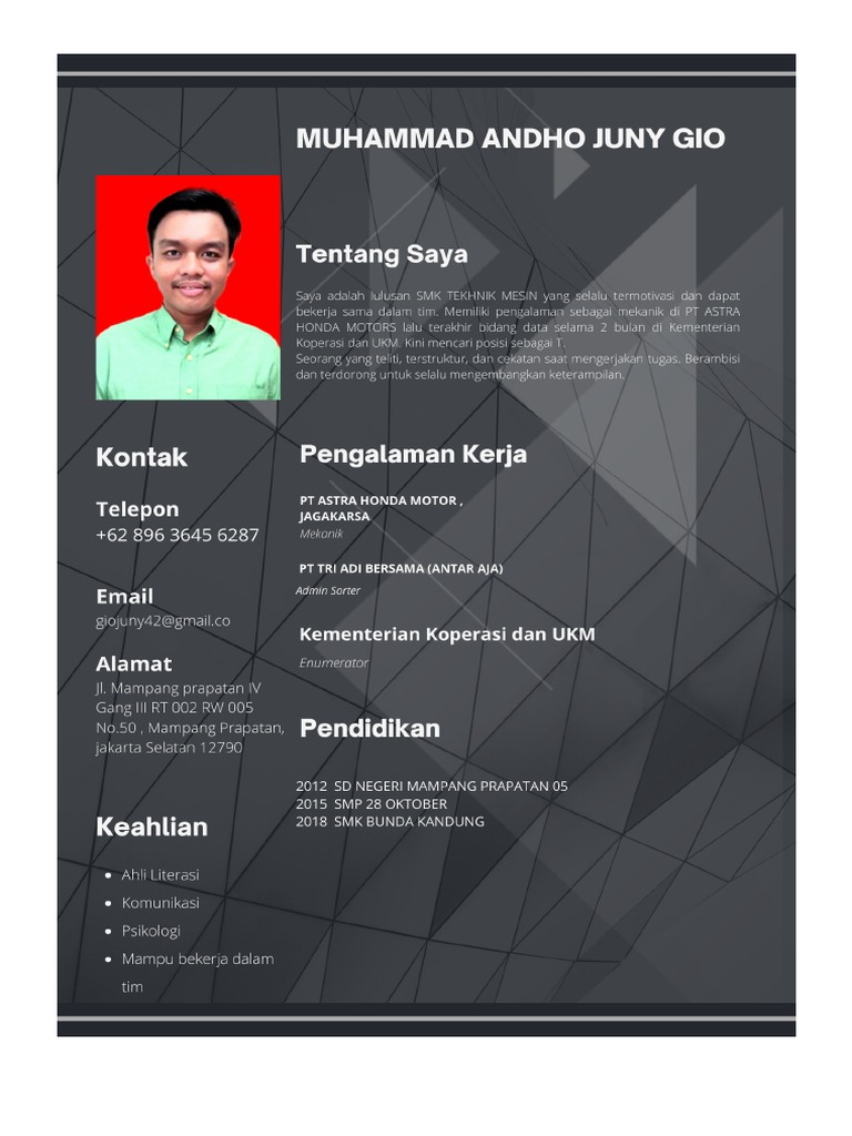 CV Dan Foto | PDF