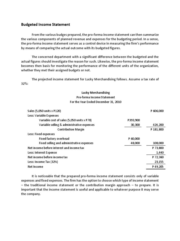 Budgeted Income and Balance Sheet Overview | PDF | Balance Sheet ...