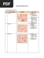 Kristal Amorf dalam Urin dan Penyebabnya | PDF