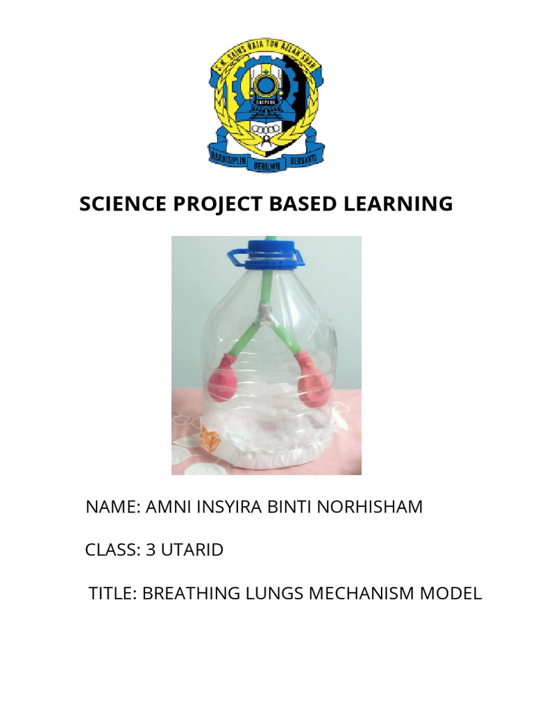 Science Project Based Learning | PDF
