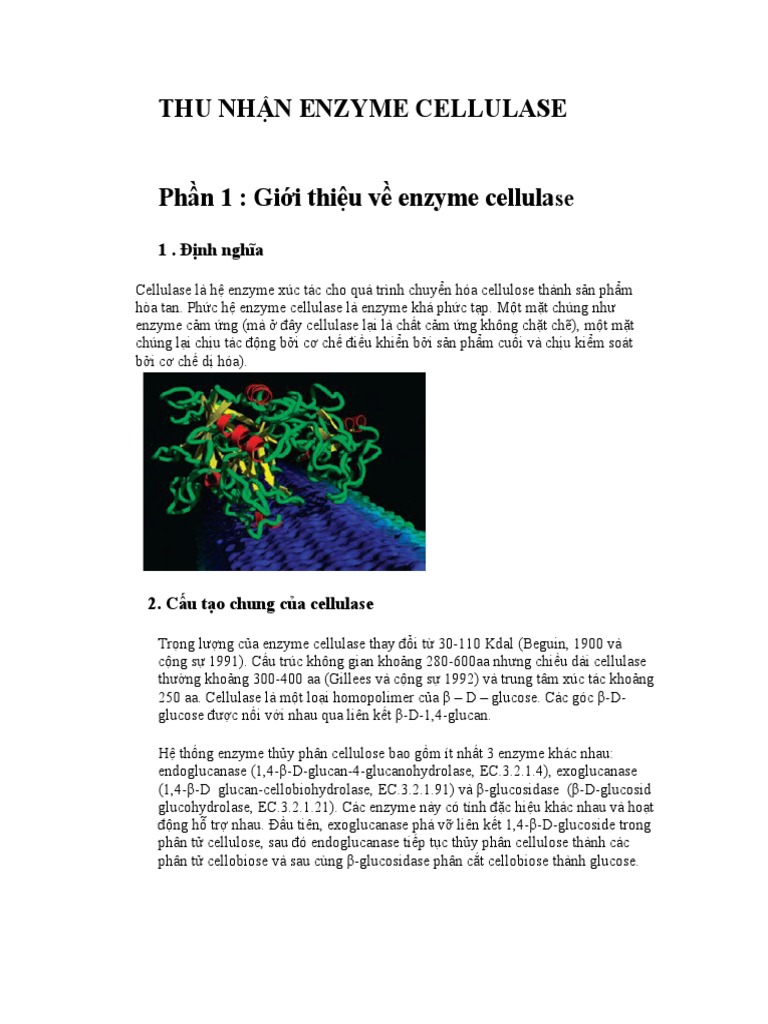 (123doc) Thu Nhan Enzyme Cellulase | PDF