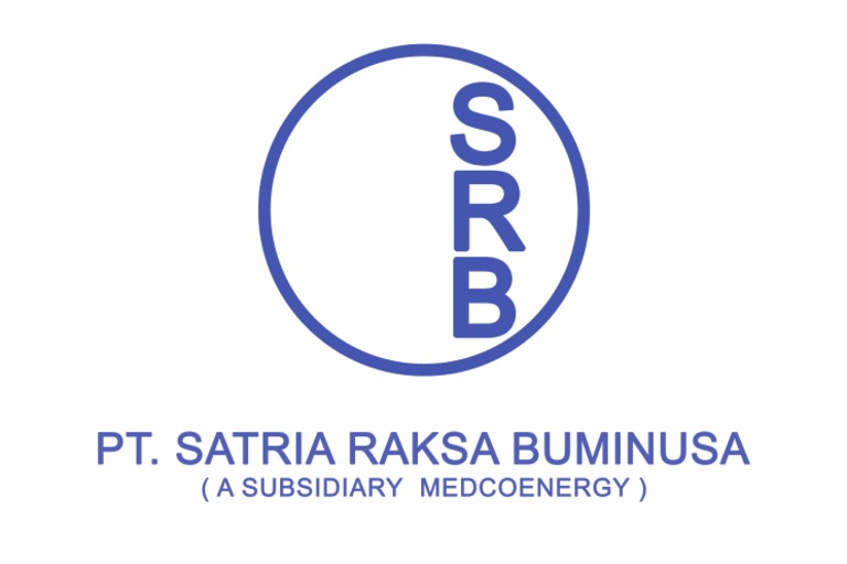Logo SRB 1 | PDF