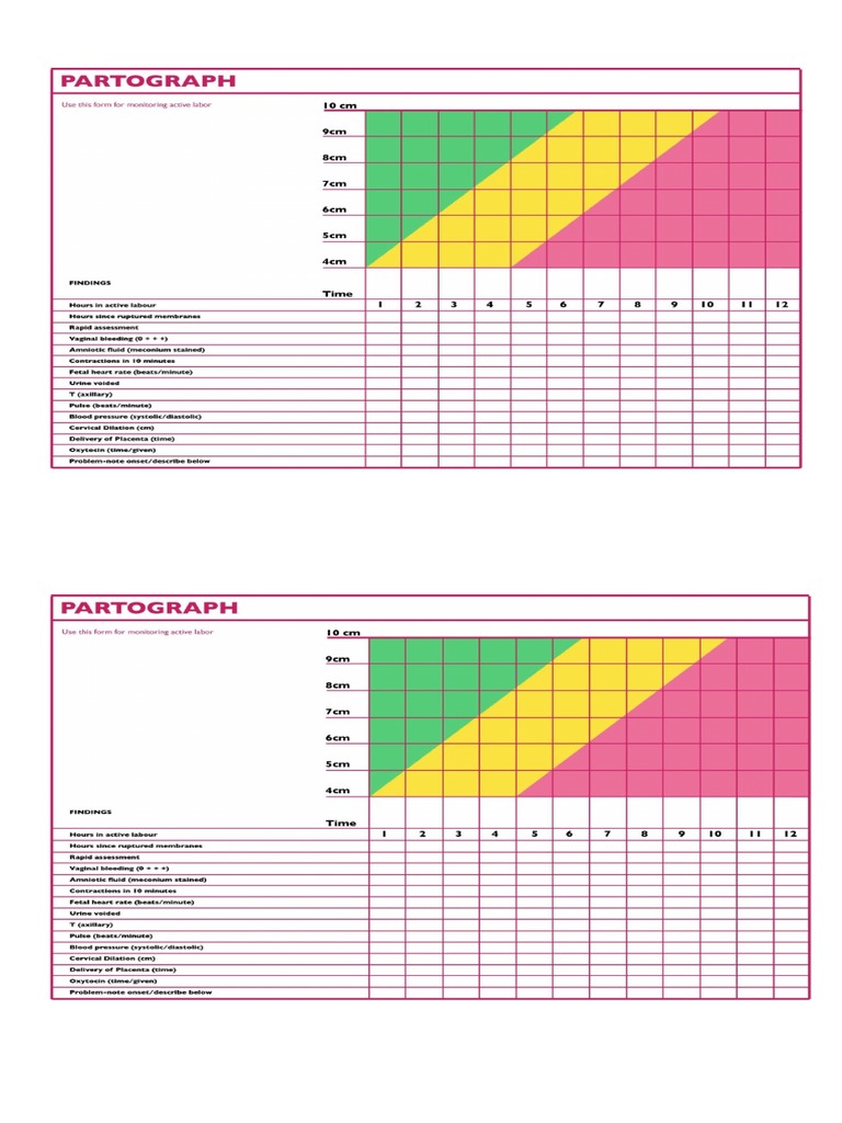 Partograph Form | PDF
