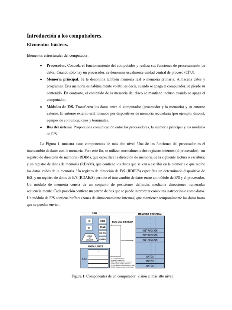 Resumen | PDF | Almacenamiento de datos de la computadora | De entrada y salida