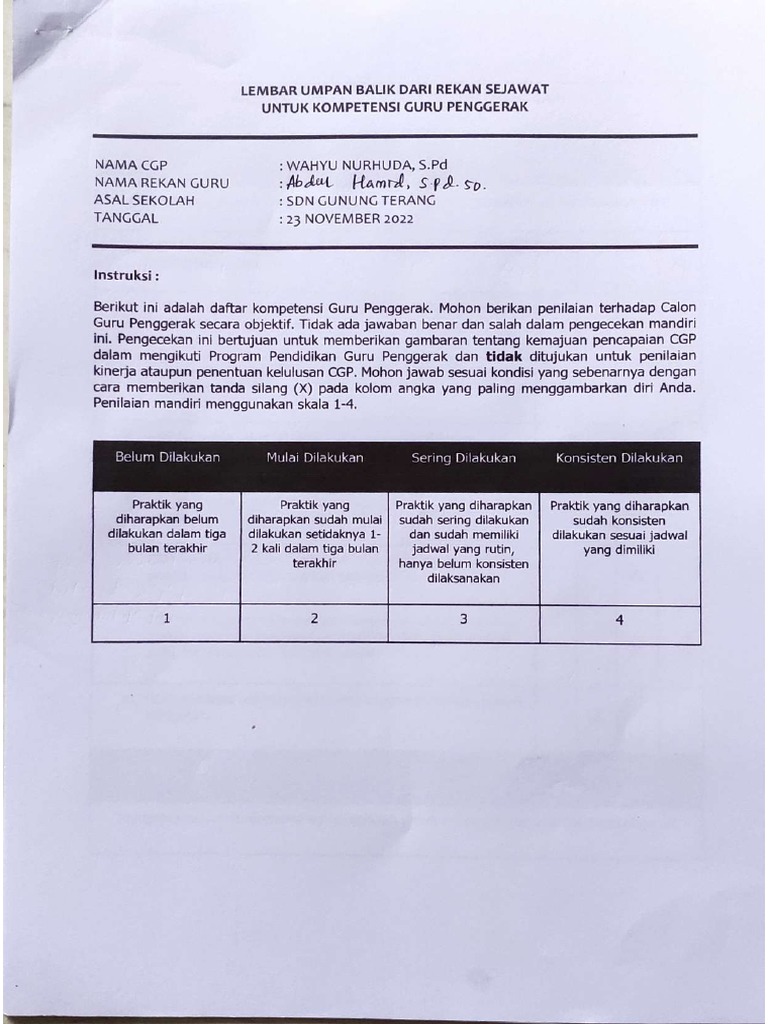 Umpan Balik Teman Sejawat | PDF