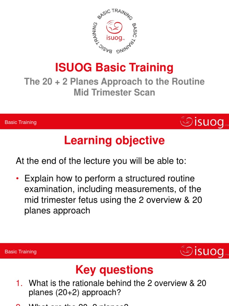 20+2 Planes Eco Isuog | PDF | Heart | Ventricle (Heart)