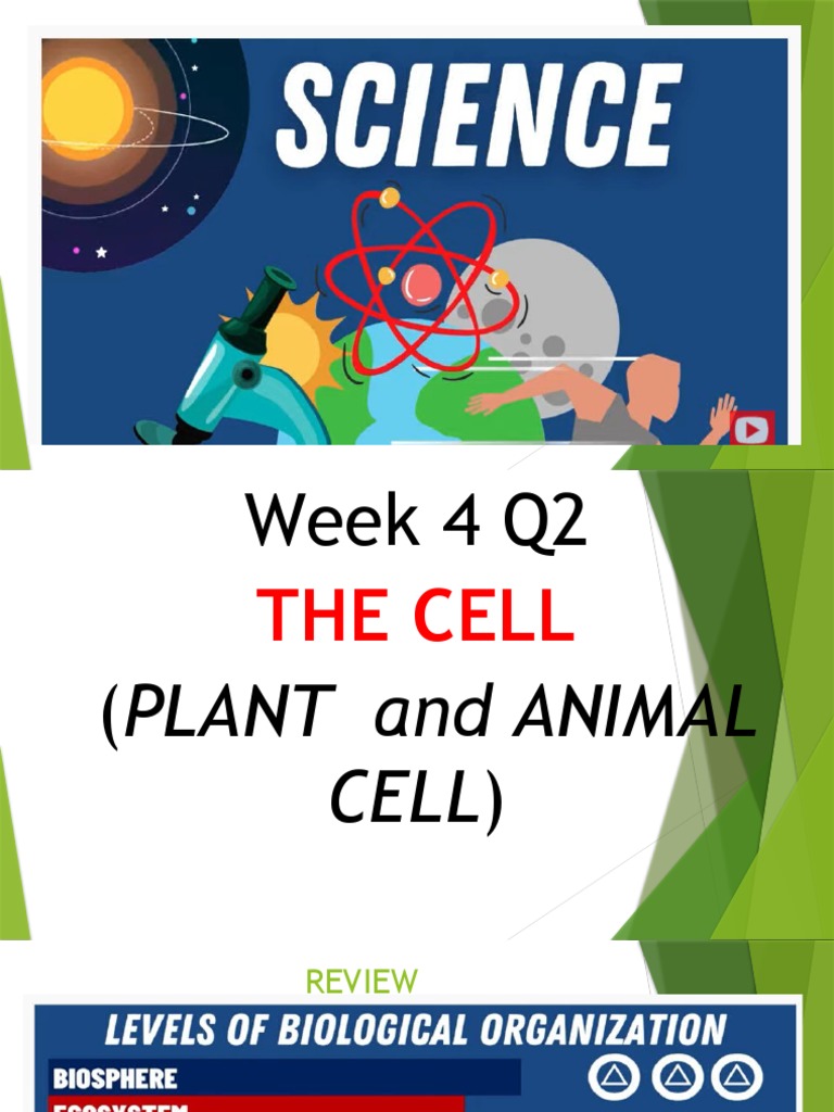Week4 Q2 Parts and Function of Cells | PDF