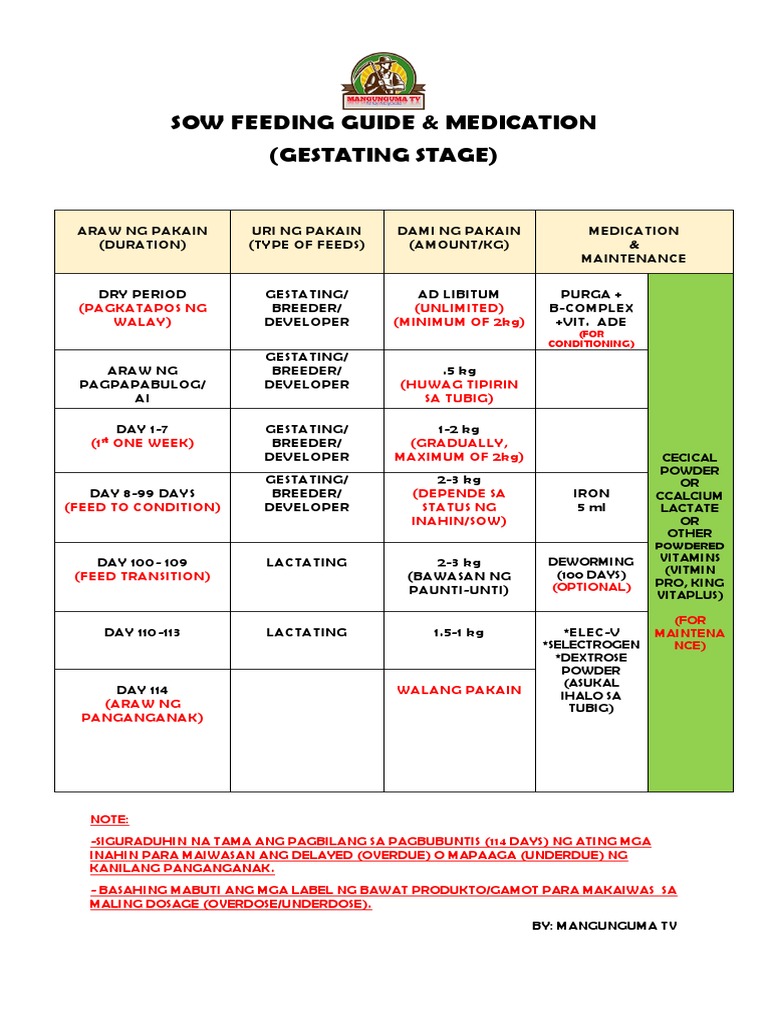 Sow Feeding Guide & Medication PDF | PDF