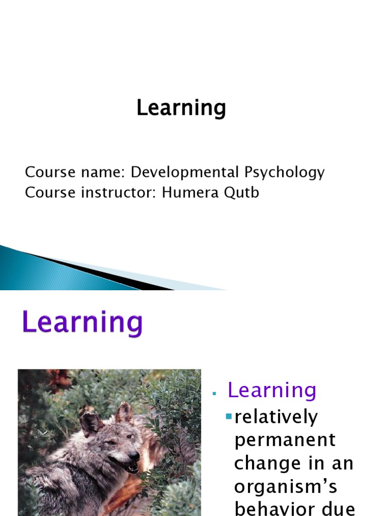 Learning DDH | PDF | Classical Conditioning | Reinforcement