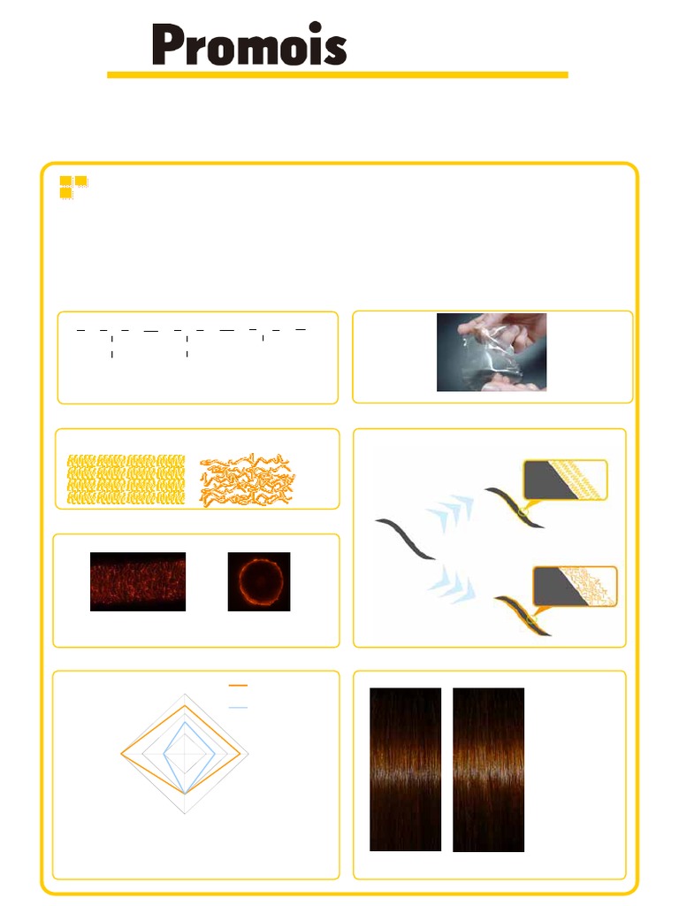L-Promois KR-30 Ver.3 | PDF | Amino Acid | Organic Compounds