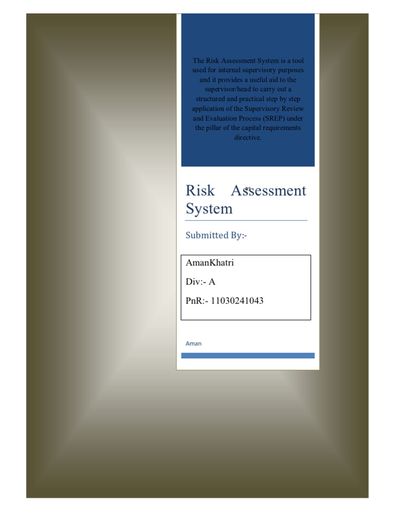 Risk Assessment System | PDF | Threat (Computer) | Vulnerability ...