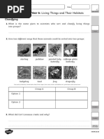 Respiratory System Grade 5 Study Guide | PDF | Lung | Respiratory System