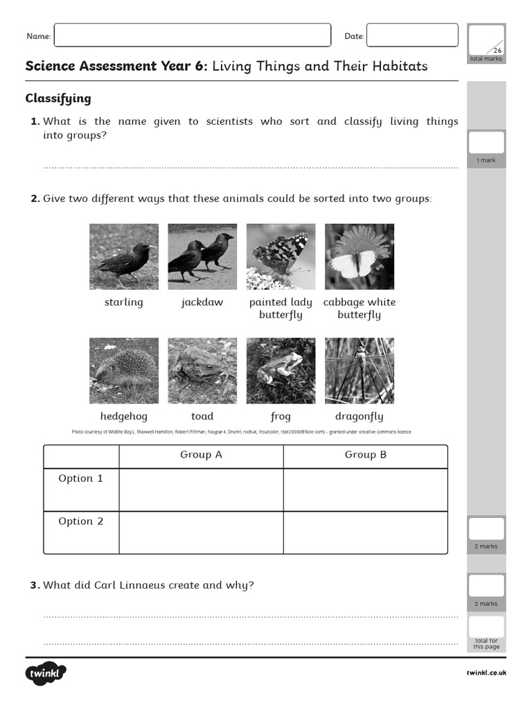 Living Things - Questions | Download Free PDF | Taxonomy (Biology ...