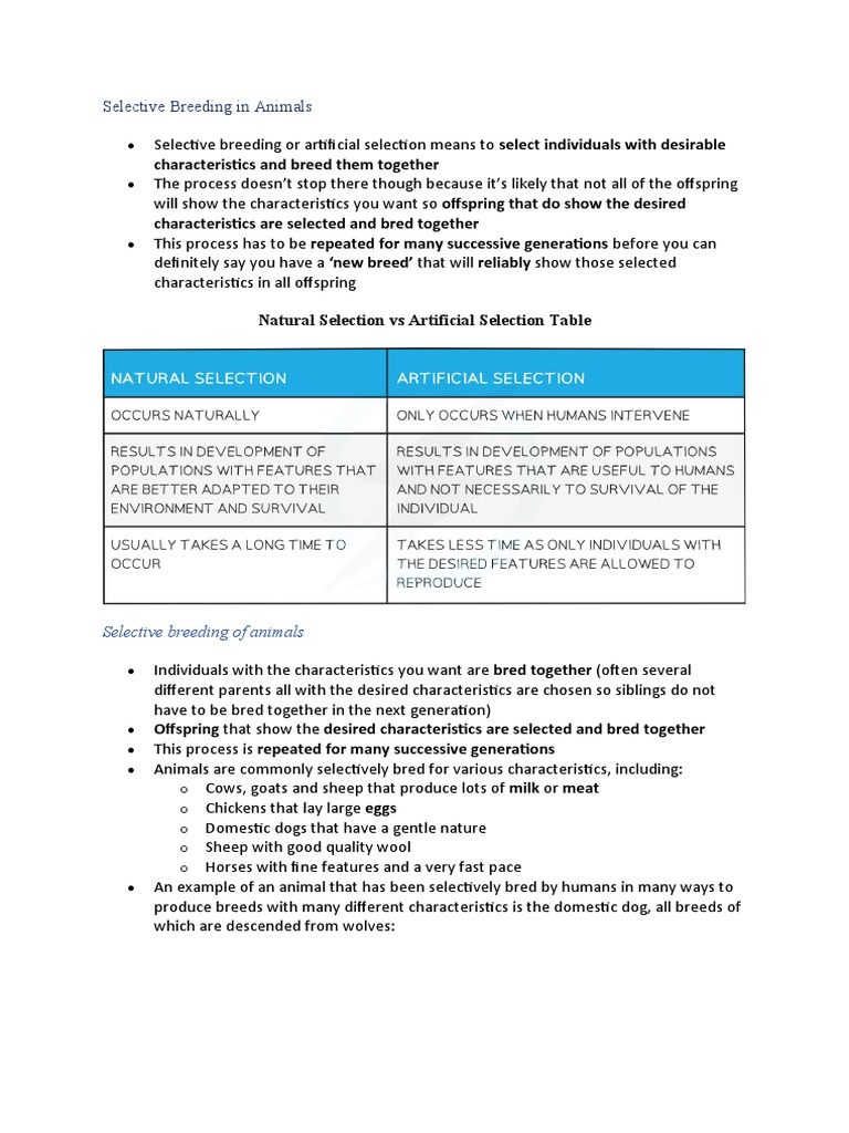 Selective Breeding of Animals and Plants | PDF | Selective Breeding | Biology
