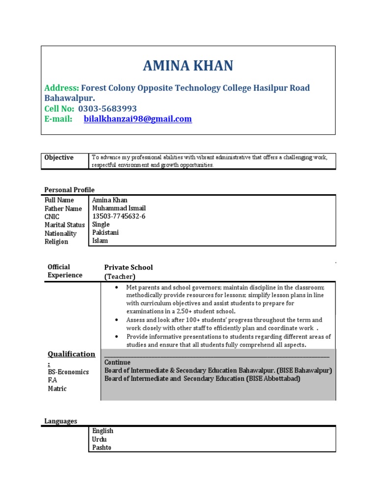 Best CV Samples Template Download 2017 in MS Word PDF Format | PDF