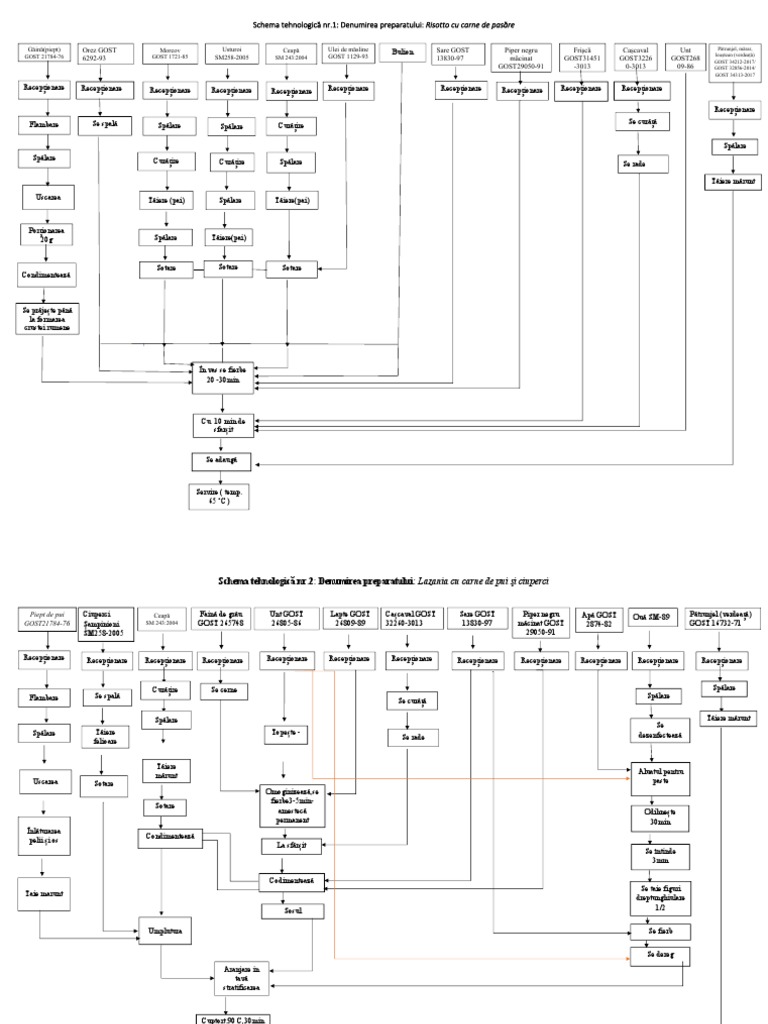 SCHEMA TEHNOLOGICĂ Proect de An | PDF