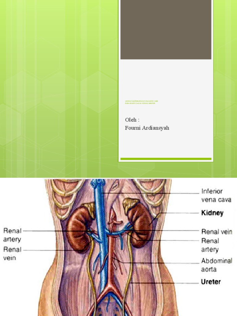 Perawatan Paliatif untuk Gagal Ginjal Kronis | PDF | Pengembangan Diri ...